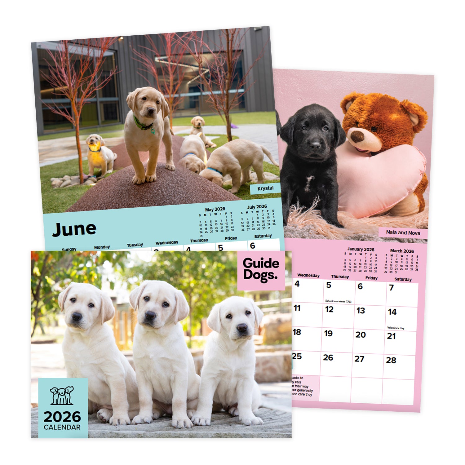 Guide Dogs 2026 Calendar - A4 – Guide Dogs Victoria