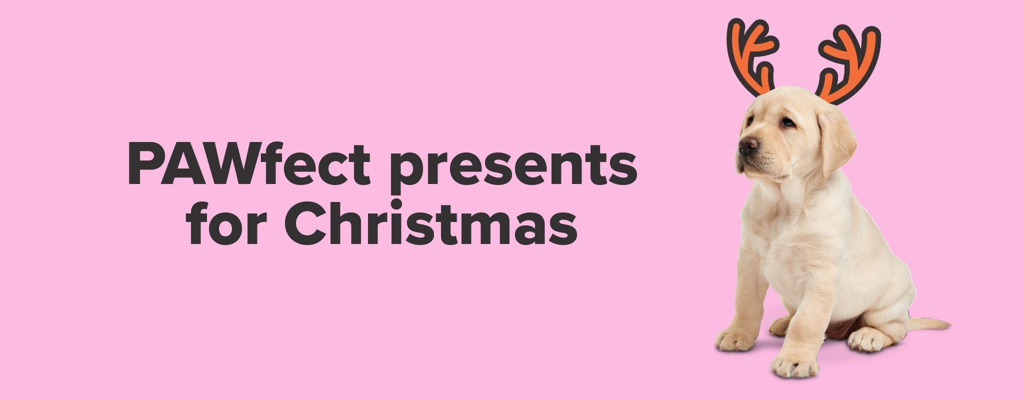 PAWfect Presents | Guide Dogs Victoria